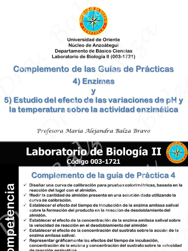Complemento de Las Guías de Las Prácticas 4 y 5. 2023 | PDF