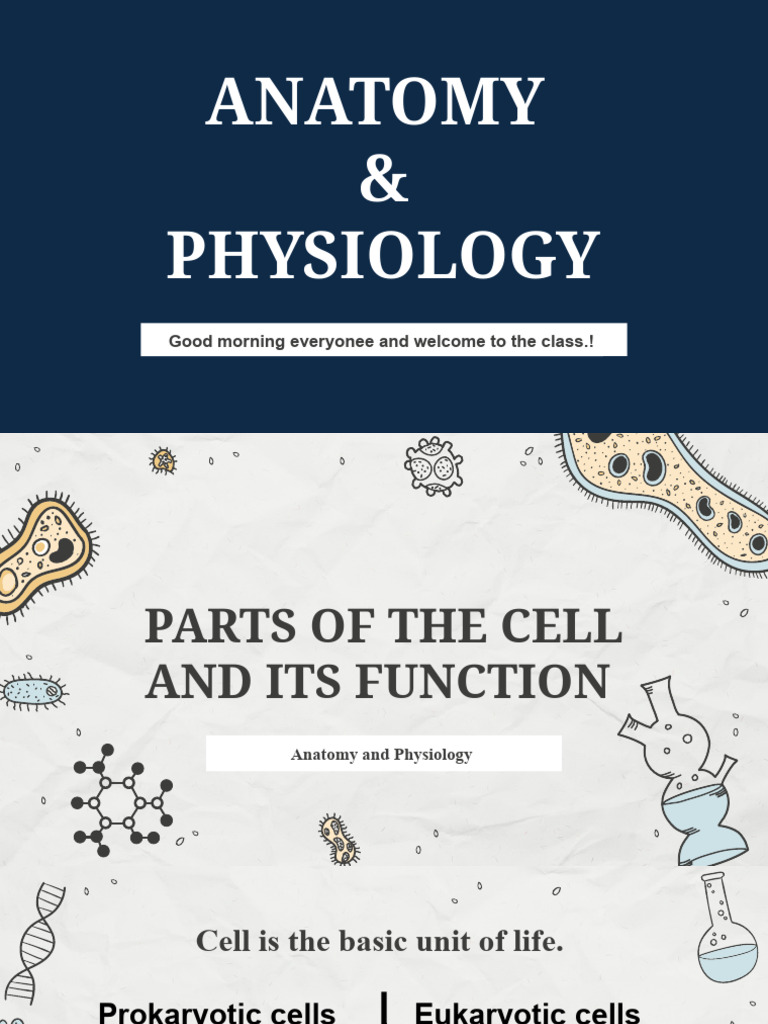 Anaphy and Physiology | PDF | Cell Nucleus | Cell (Biology)