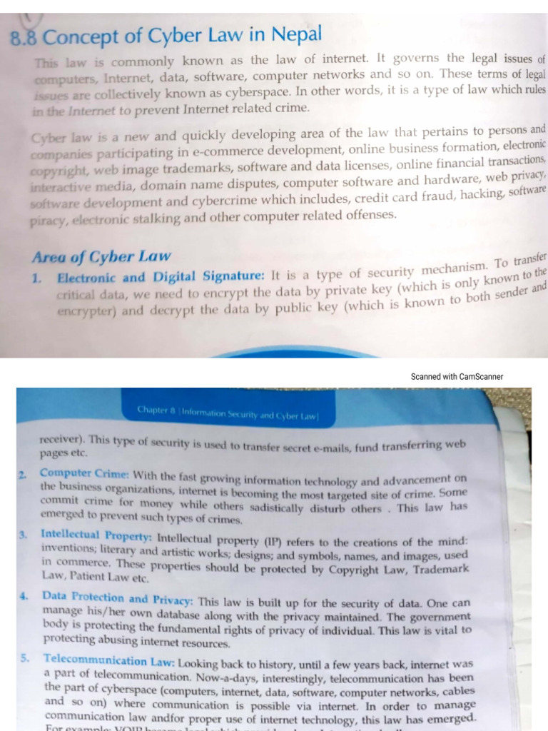 Cyber Law | PDF