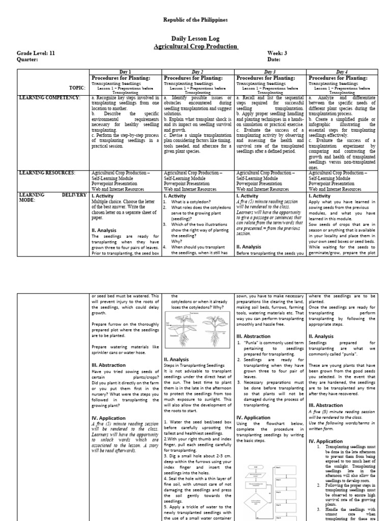 WK 3 DLL 11 | PDF | Seedling | Seed