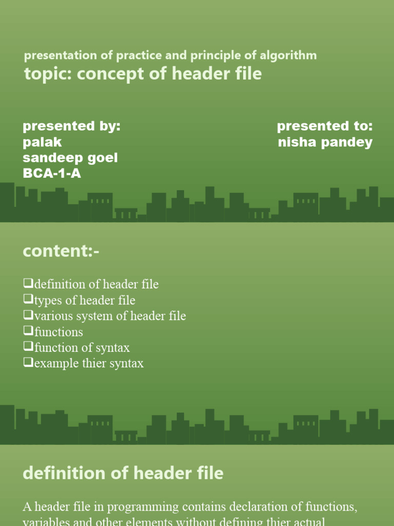 Palak Presentation | PDF | Software Development | Computer Programming