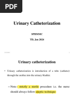 UroMax Ultra Brochure | PDF | Balloon | Catheter
