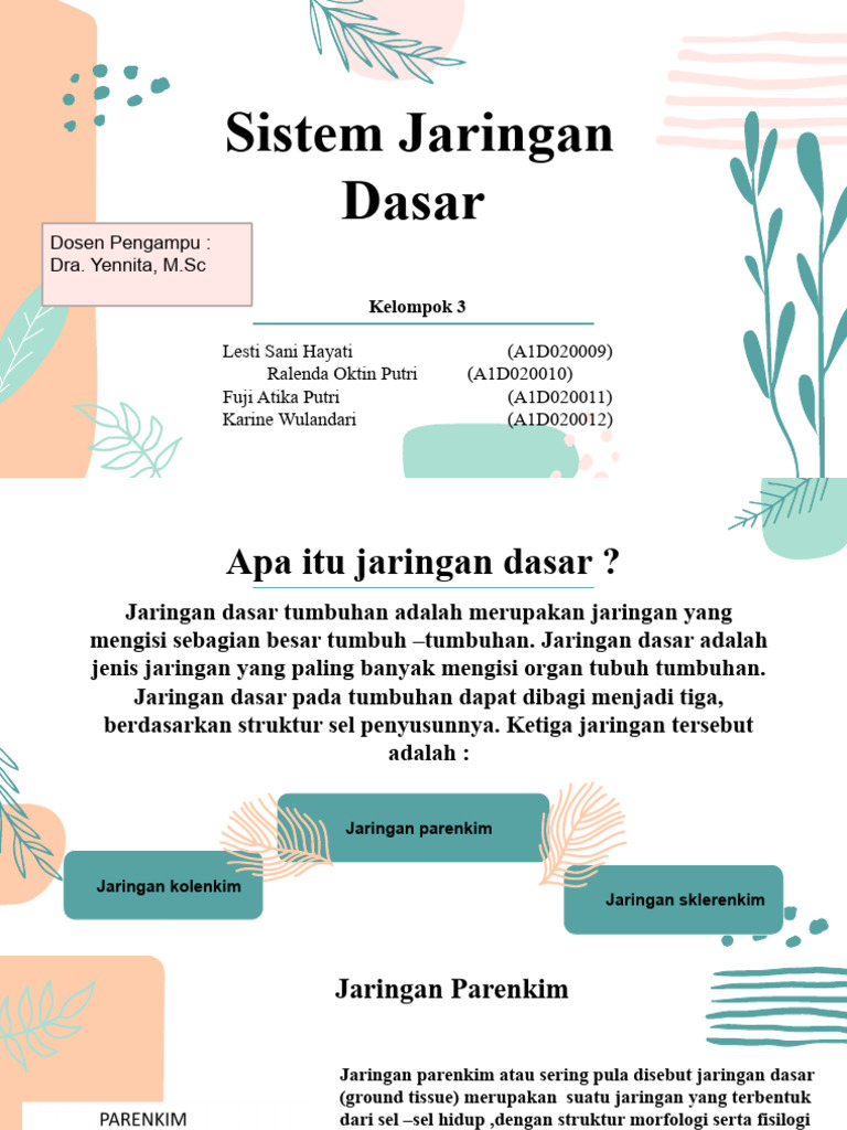 Kelompok 3A Sistem Jaringan Dasar Tumbuhan | PDF