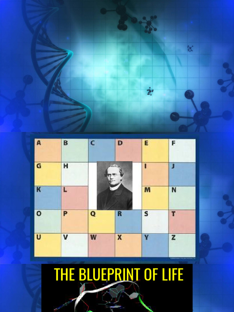 DNA Structure and Components Guide | PDF | Science & Mathematics