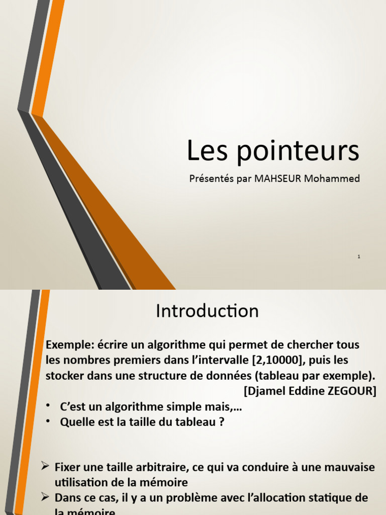 Les Pointeurs | PDF