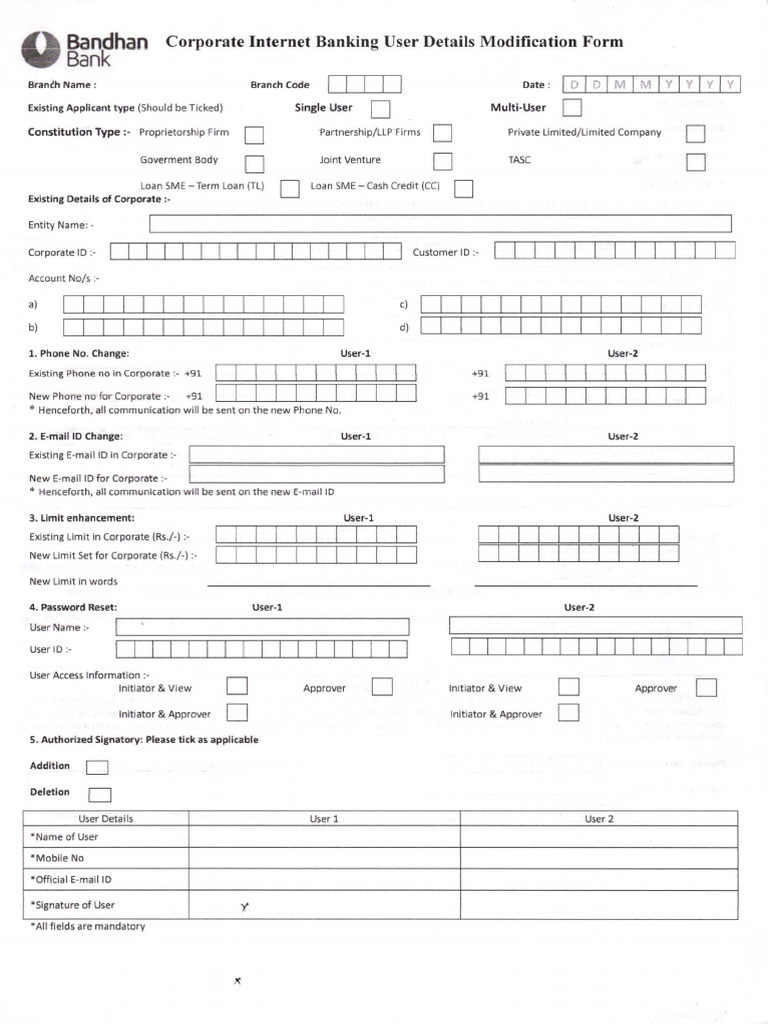 CIB Form001 | PDF | Banks | Overdraft