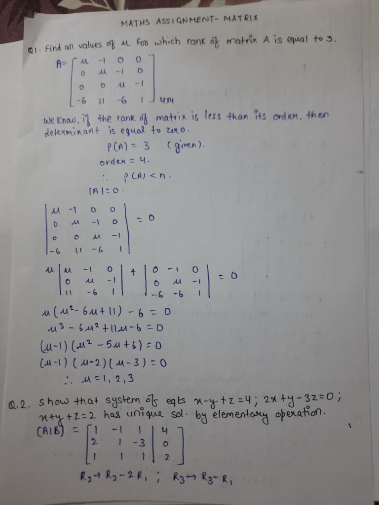 Matrix Assignment | PDF