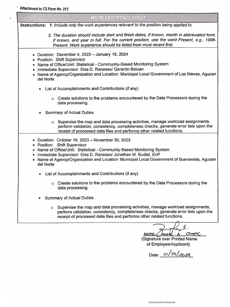 Work Experience Sheet | PDF