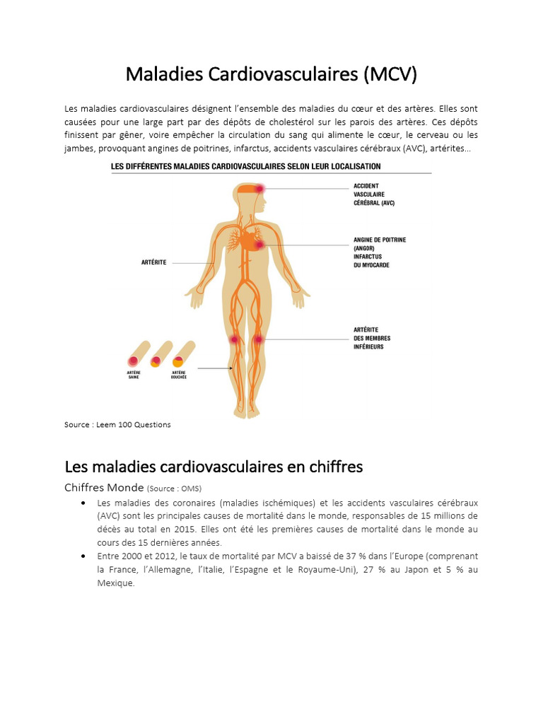Maladies Cardiovasculaires : Causes et Enjeux | PDF | Accident ...