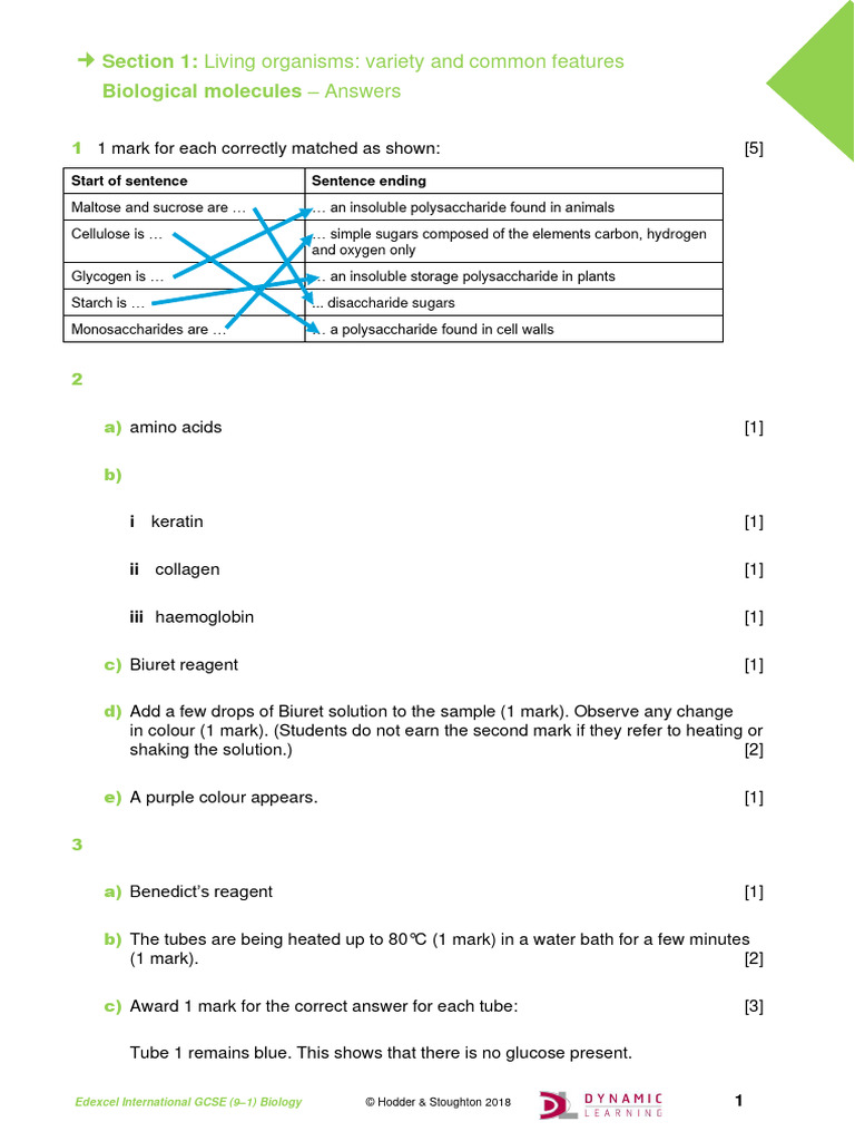 Worksheet Answers Biological Molecules | PDF