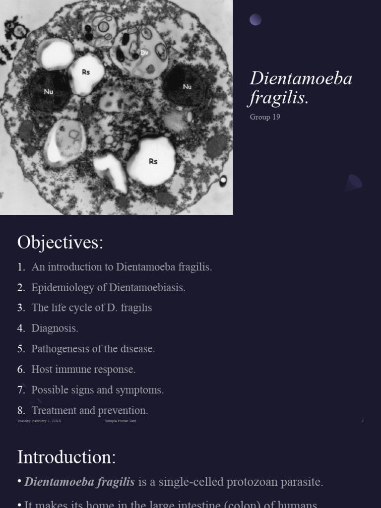 Dientamoeba fragilis: Overview & Treatment | PDF | Health Sciences ...