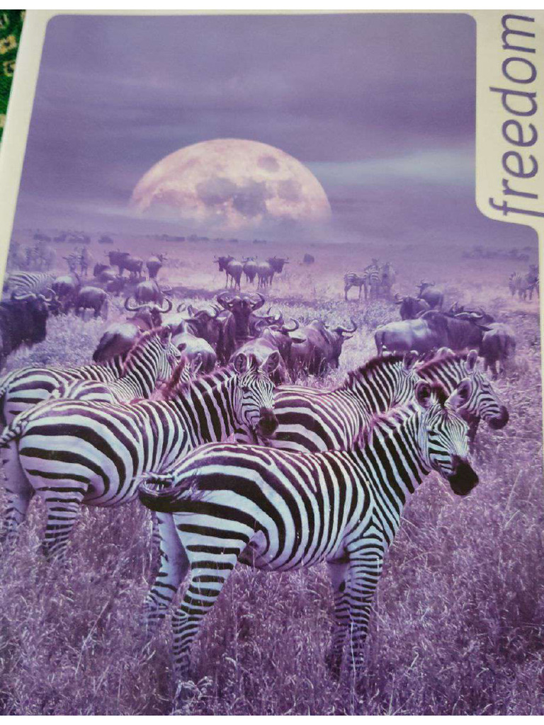 Zebra | PDF