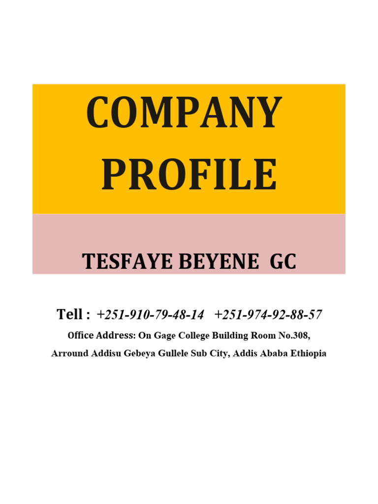 Tesfaye Beyene GC | PDF | Balance Sheet | Revenue