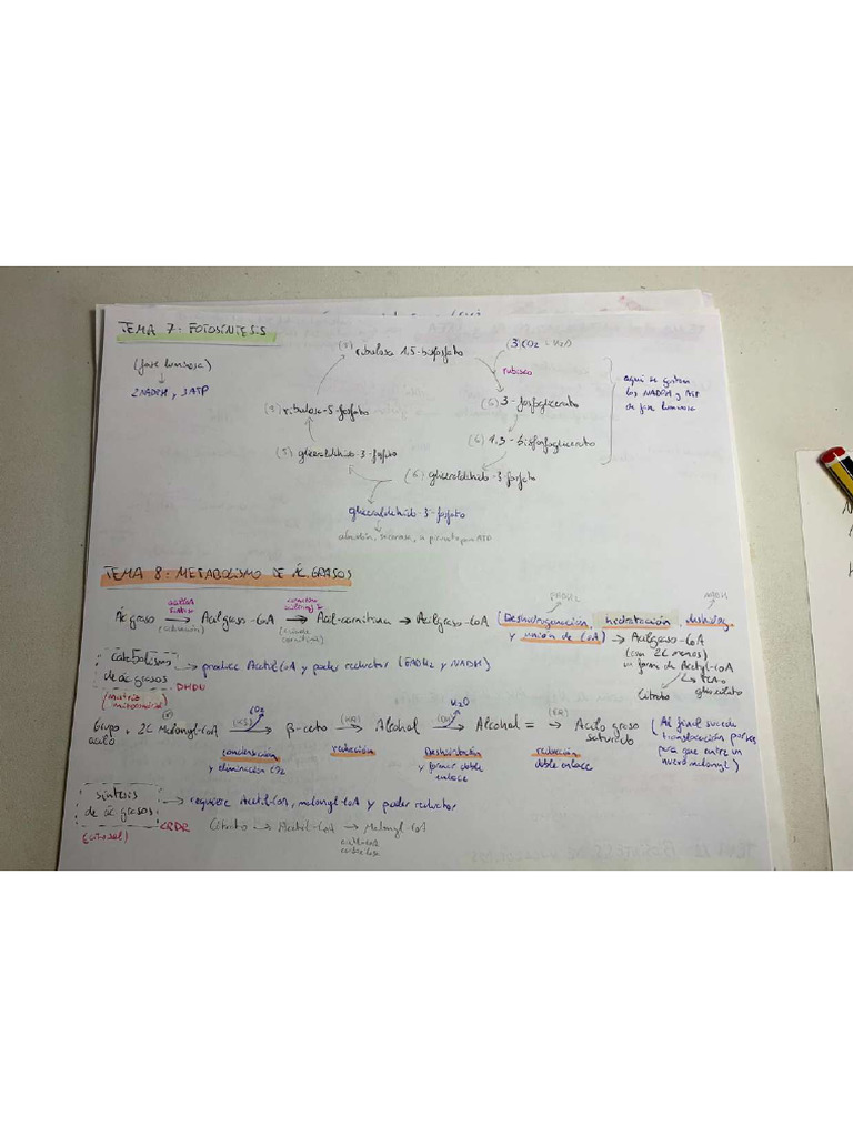 Esquema T7 y T8 | PDF