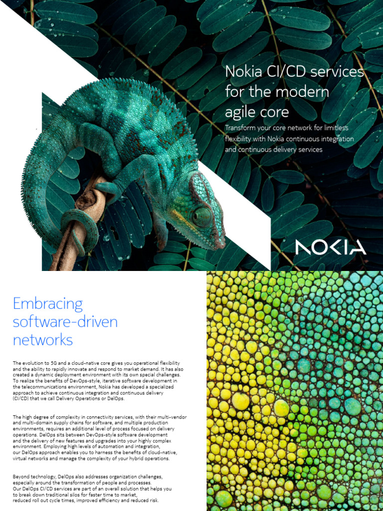Nokia CI CD Services For The Modern Agile Core Brochure EN | Download ...