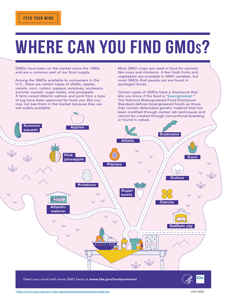 Where Can You Find GMOs | PDF | Genetically Modified Organism | Crops