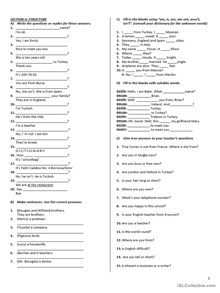 Exercises For Beginners | PDF