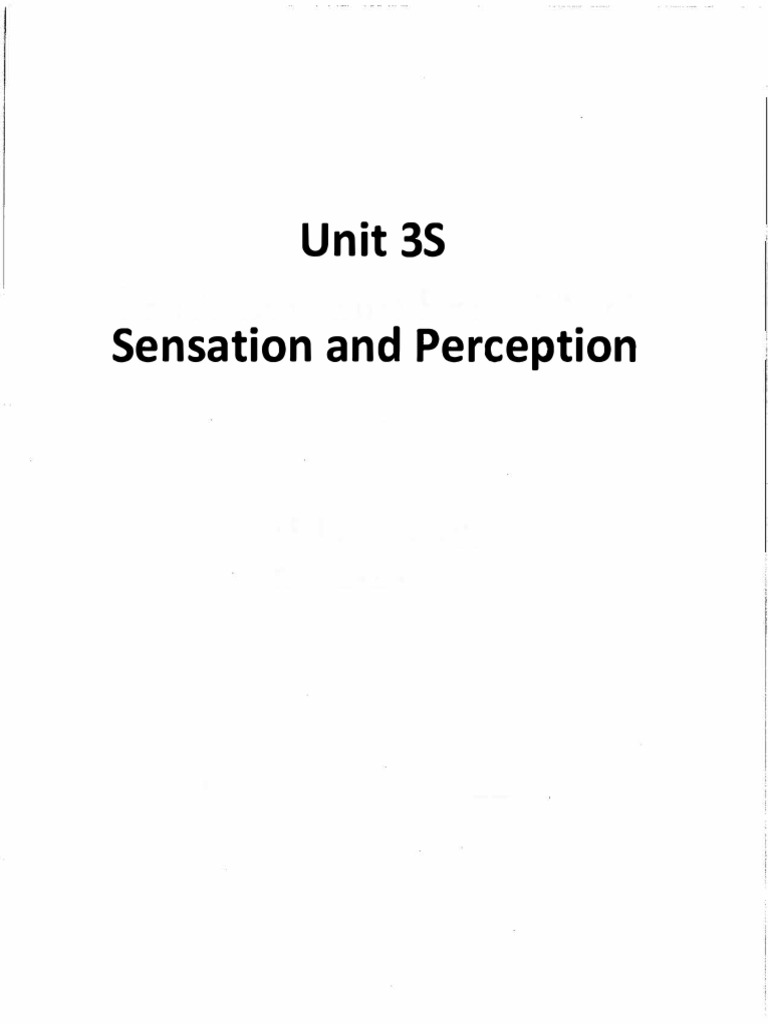 AP Psych Sensation and Perception Activity Packet | PDF | Senses ...
