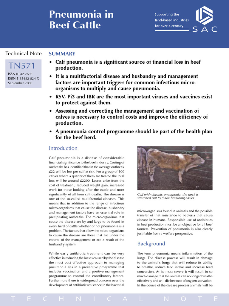 TN 571 Pneumonia in Beef Cattle | PDF | Pneumonia | Vaccines