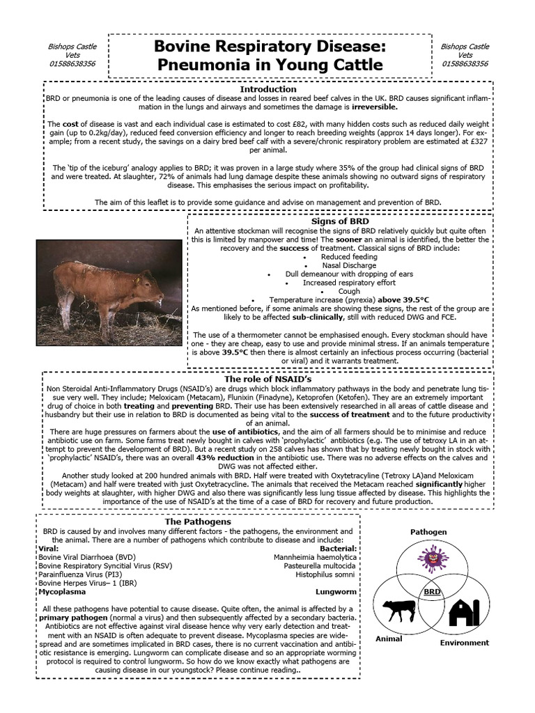 Pneumonia Article 3 | PDF | Vaccines | Cattle