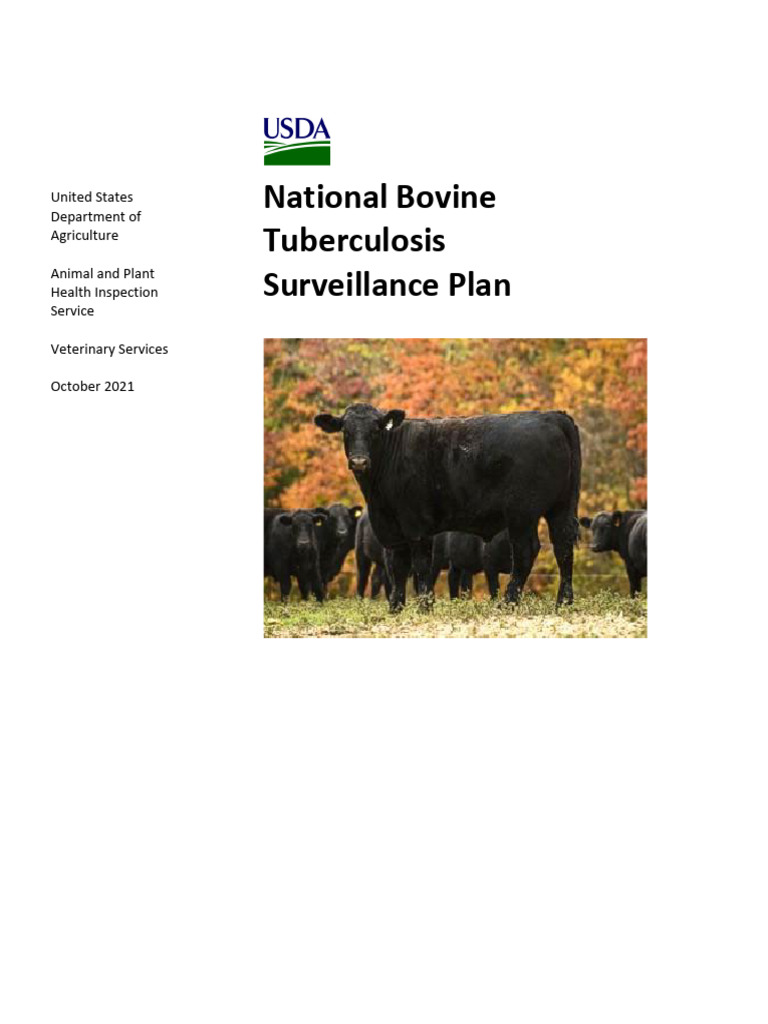 TB Surveillance Plan | PDF | Tuberculosis | Infection