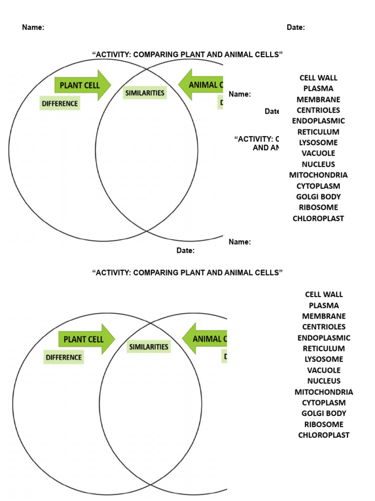 Compare And Contrast Plant Animal Structures Animal And Plant Cell