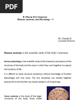 Anatomy and Physiology-Lecture Notes | PDF | Bone | Anatomical Terms Of ...