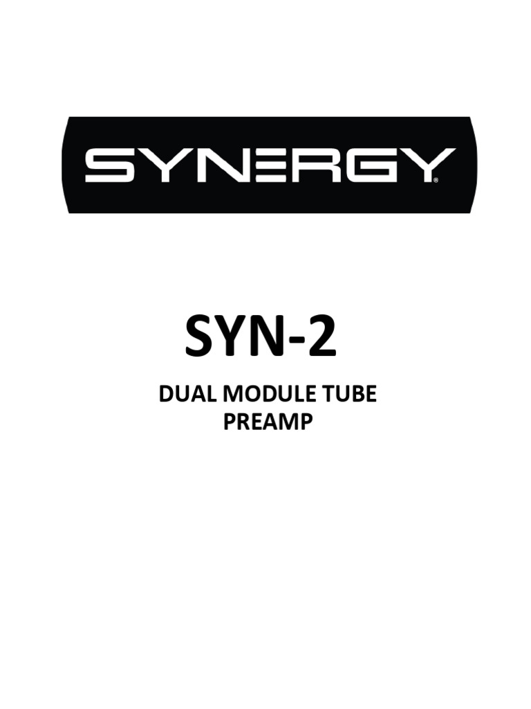 SYNERGY SYN 2 Manual 10 6 21 | PDF | Ac Power Plugs And Sockets | Amplifier