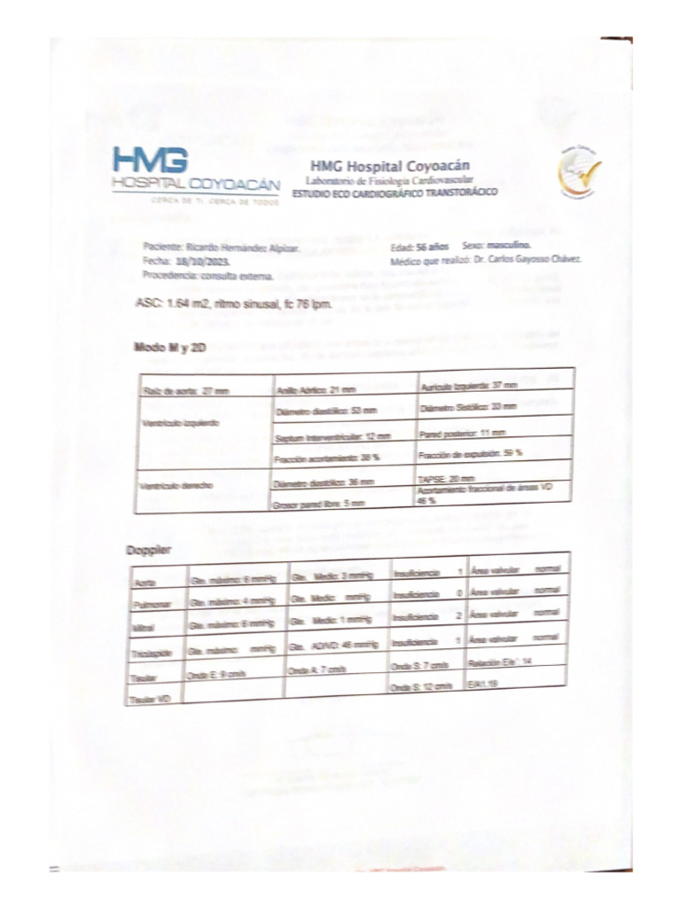 HMG Hospital Coyoacán | PDF