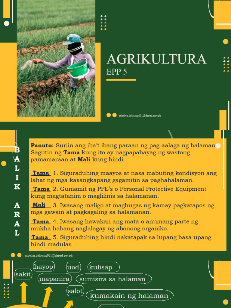 Epp Intercropping | PDF
