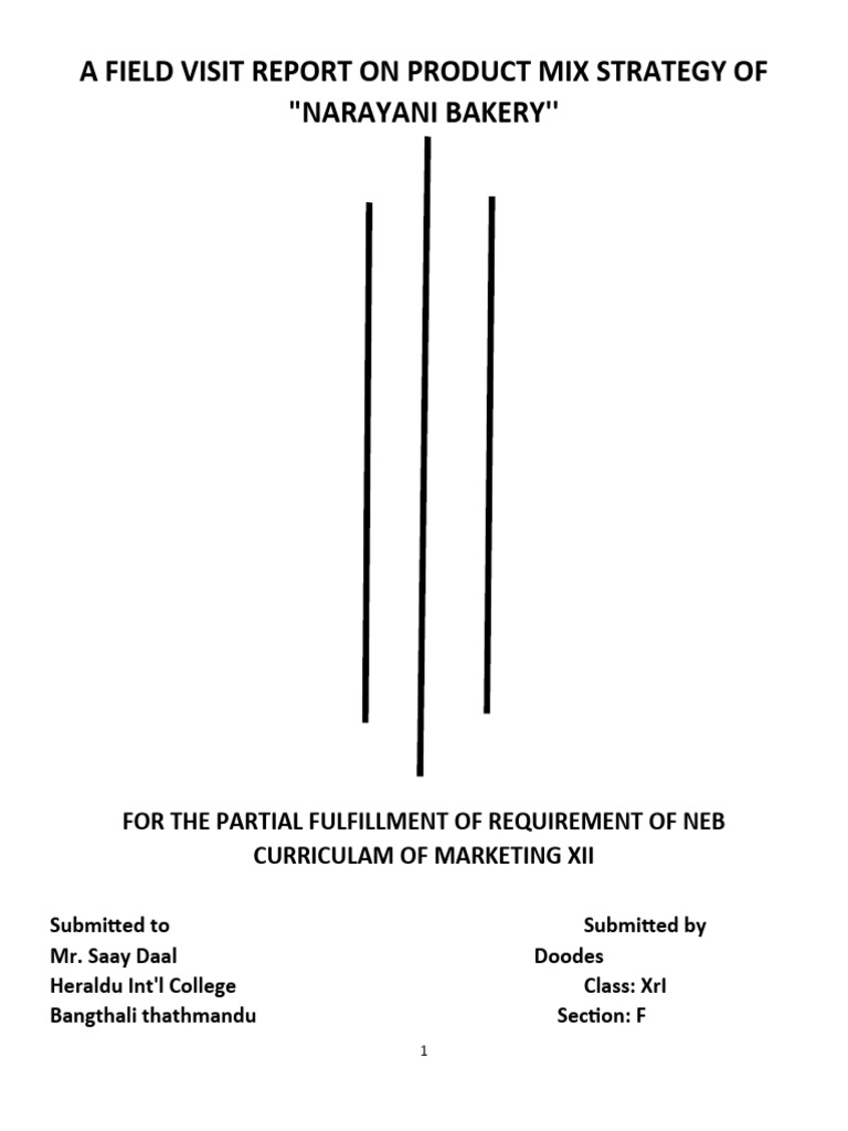 A Field Visit Report On Product Mix Strategy of | PDF | Marketing ...