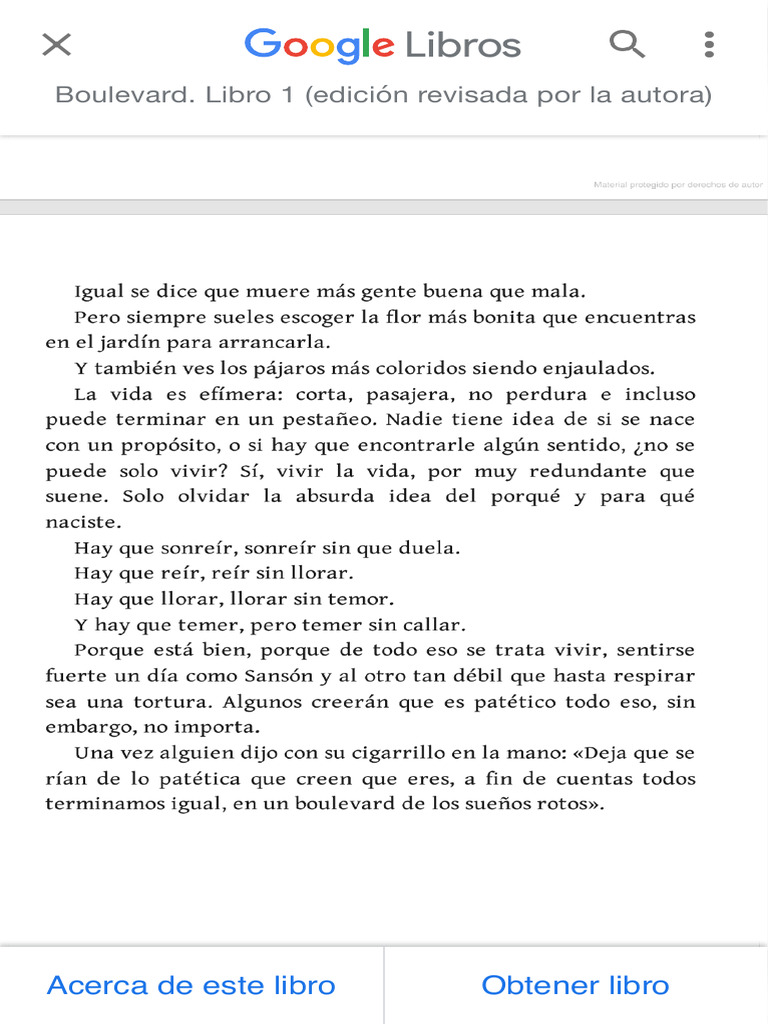 Boulevard. Libro 1 (Edición Revisada Por La Autora) La Versión de Flor ...