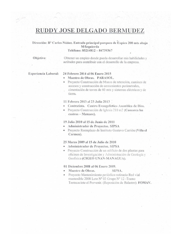 CV Ruddy Delgado | PDF