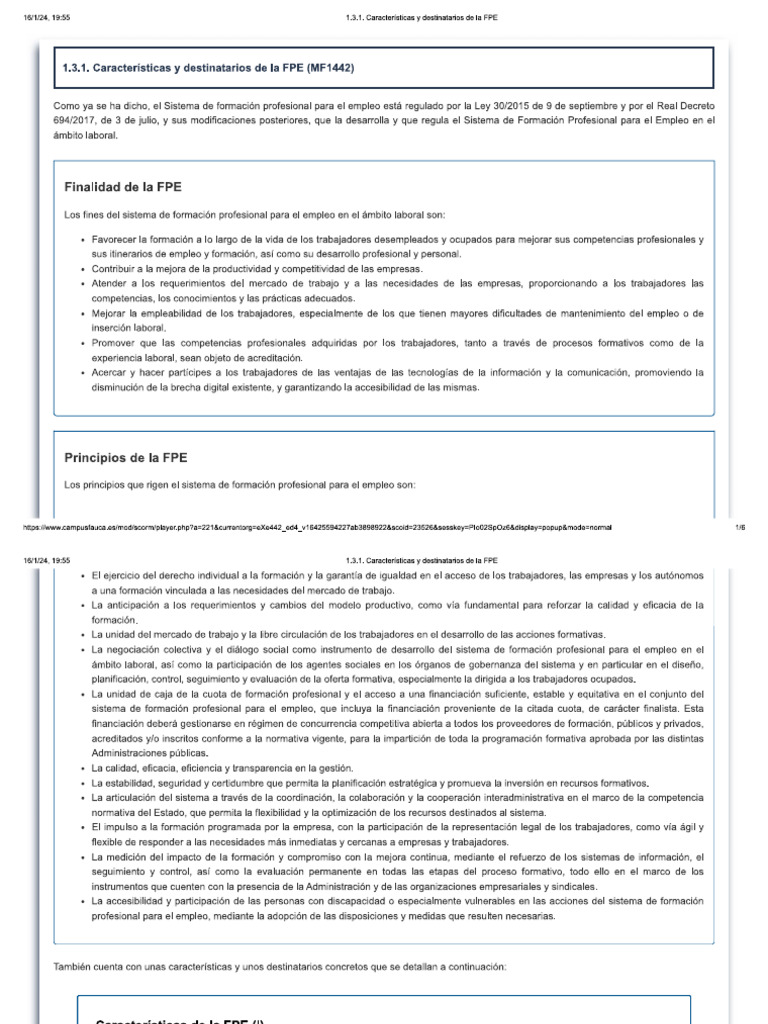 1.3.1 Caracteristicas y Destinatarios de La FPE | PDF
