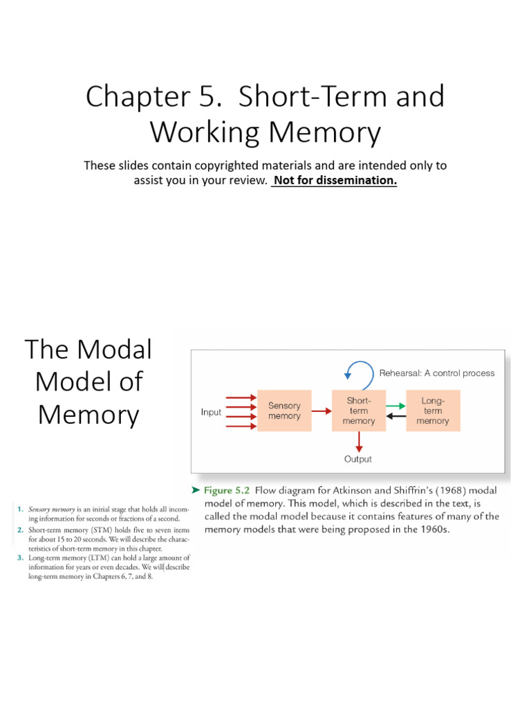 Chapter 5 Short-Term and Working Memory | PDF