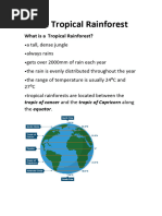 Activity Sheet Where Do Plants Live | PDF | Plants | Habitat