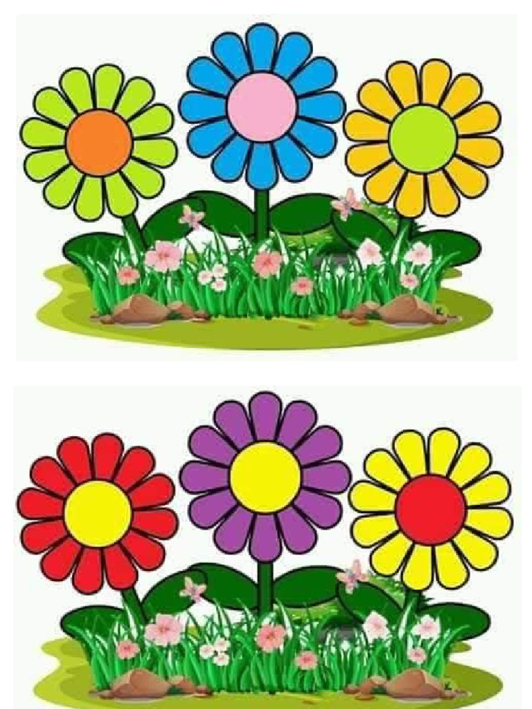 A4 Flowers | PDF