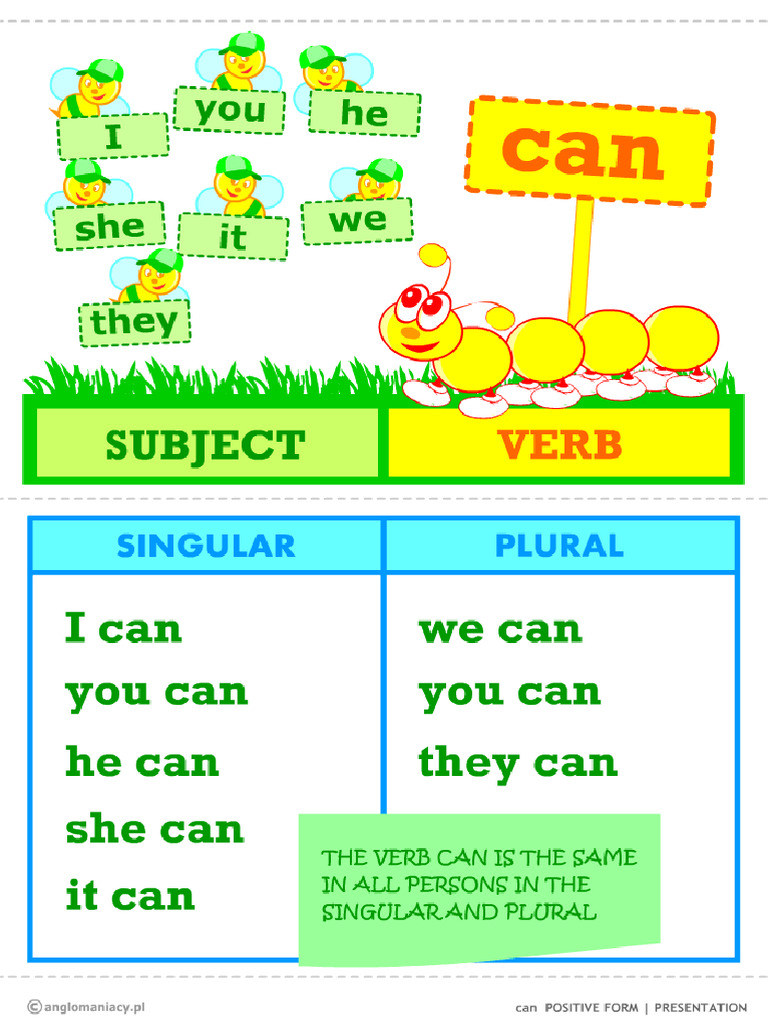Verbs Can Positive Form | PDF