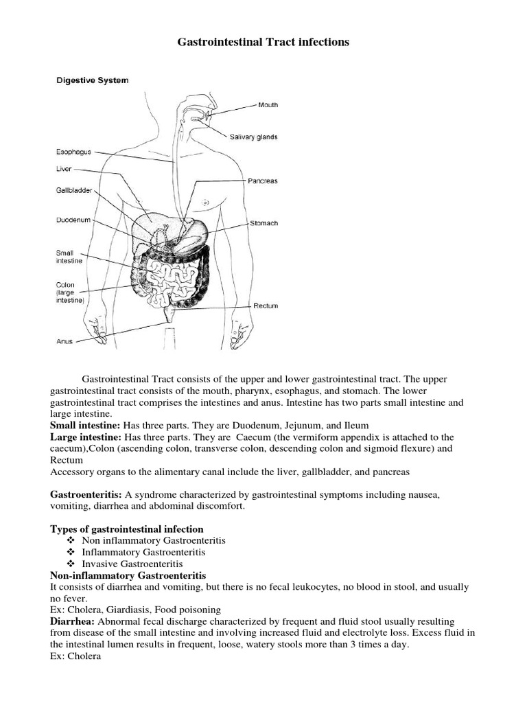 Gastrointestinal Tract Infections Overview | PDF | Salmonella | Diarrhea