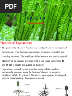 Cycas and Pinus: Morphology & Reproduction | PDF | Leaf | Plant Stem
