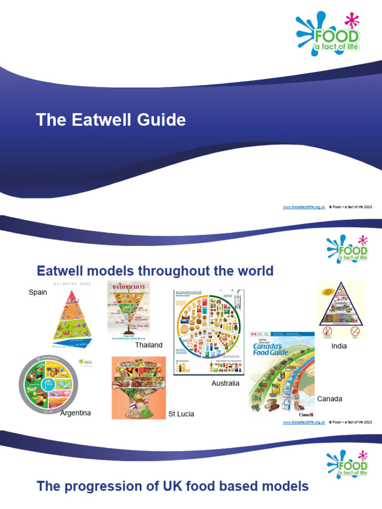 The Eatwell Guide | PDF | Whole Grain | Fat