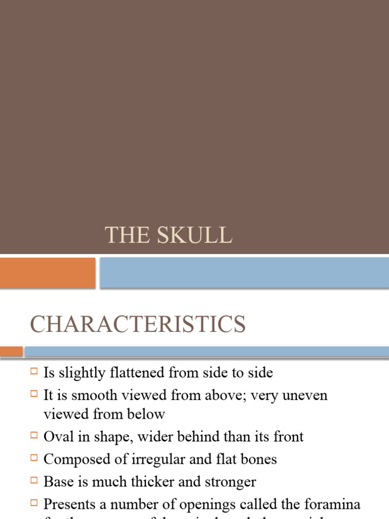 The Skull-1 | PDF | Skull | Anatomy