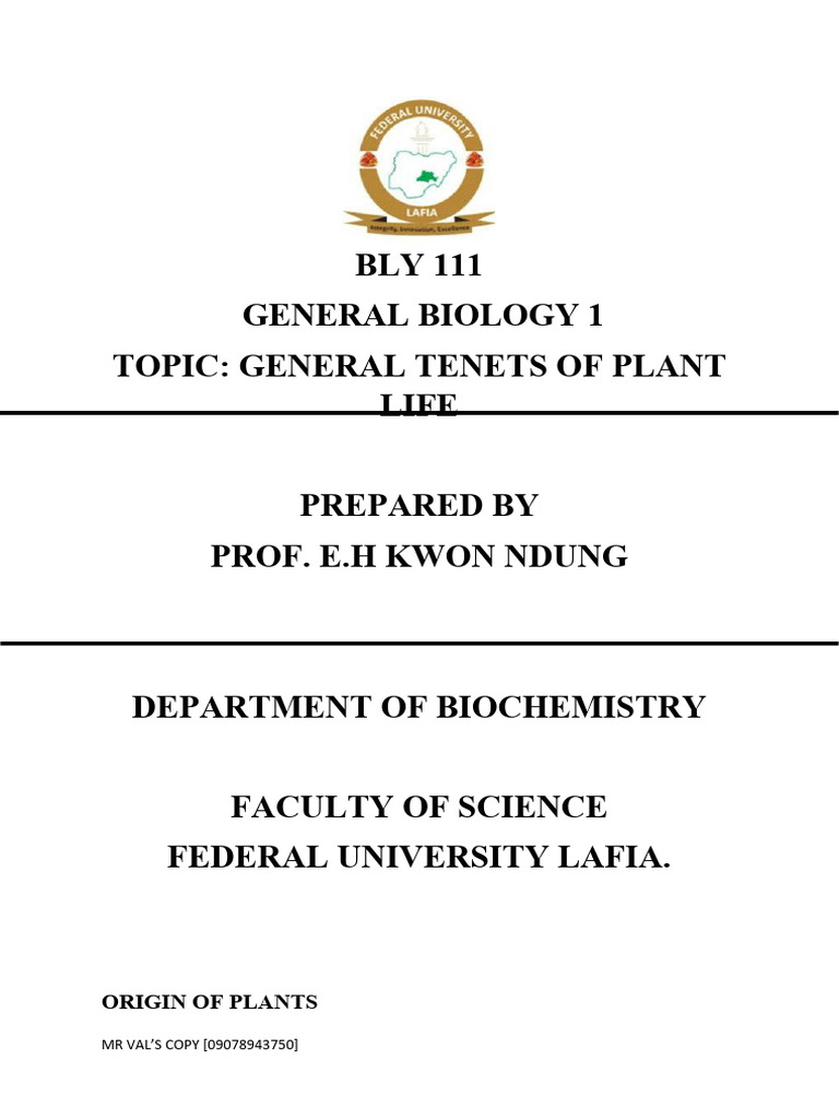 Origin of Plants | Download Free PDF | Leaf | Plants