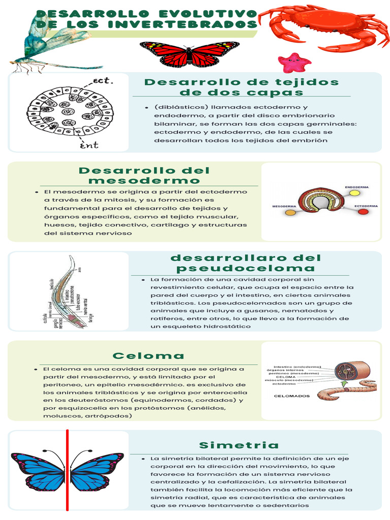 Types of Cells Infographic in Green White Blue Illustrative Style | PDF