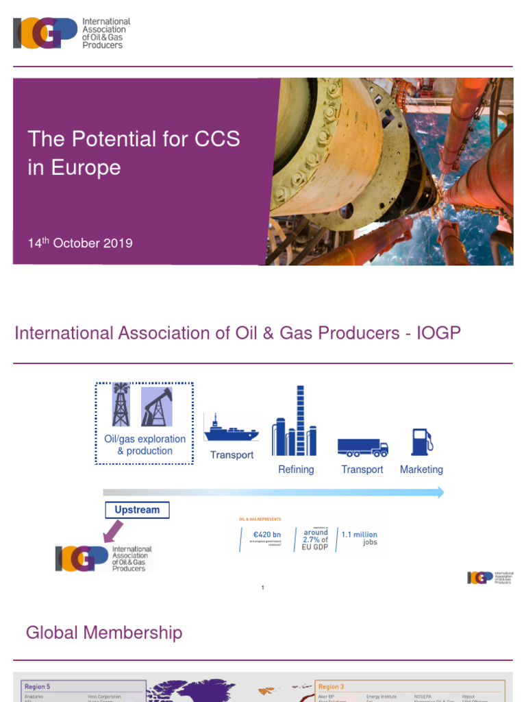 IOGP Slides | PDF