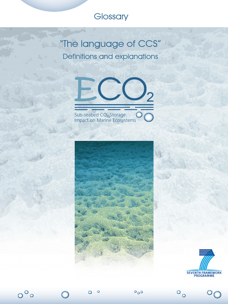 ECO2 Glossary | PDF | Carbon Sequestration | Carbon Capture And Storage