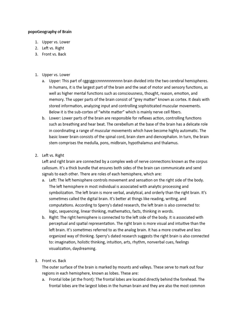 Language and Brain Jatah Sully | PDF | Aphasia | Brain
