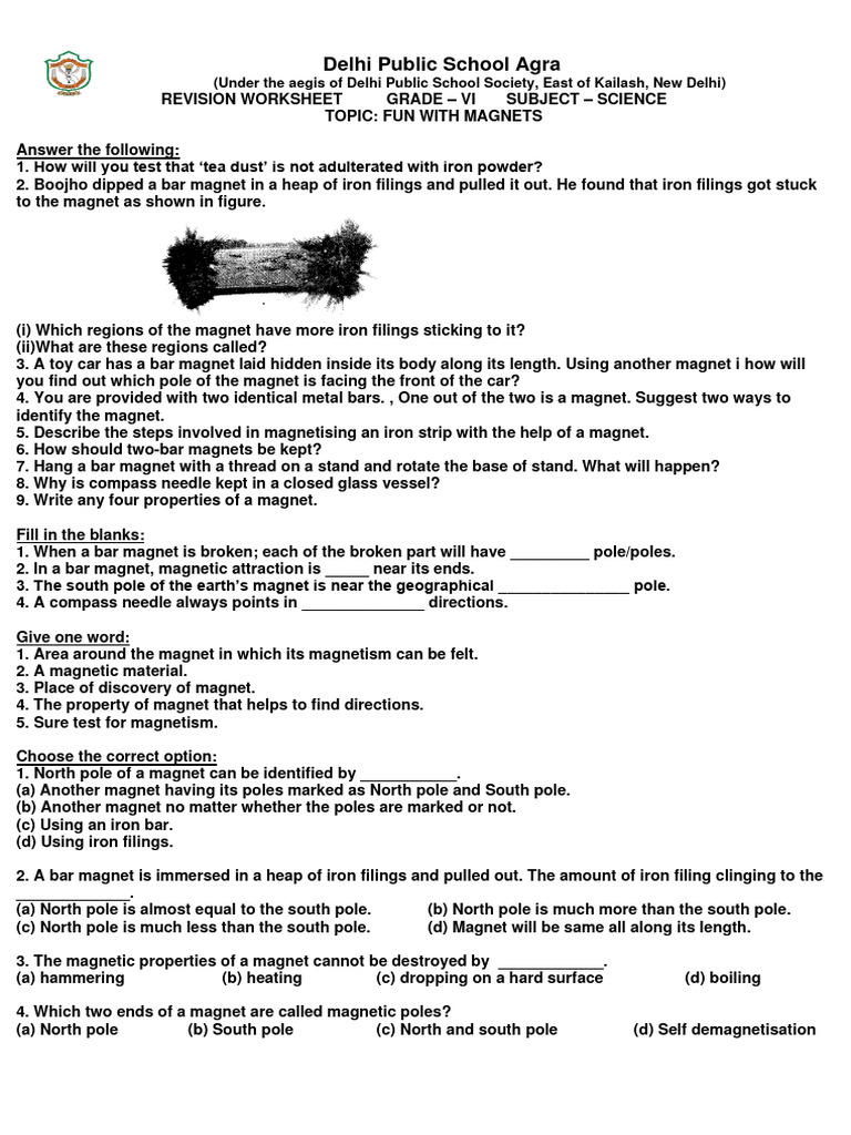 Revision Worksheet Fun With Magnets | PDF | Magnet | Compass