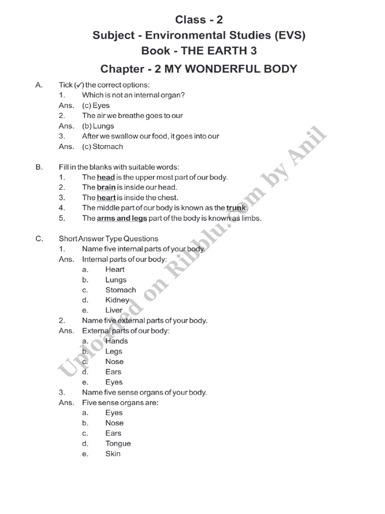 Cbse Class 2 Evs My Wonderful Body Worksheet With Answers | PDF