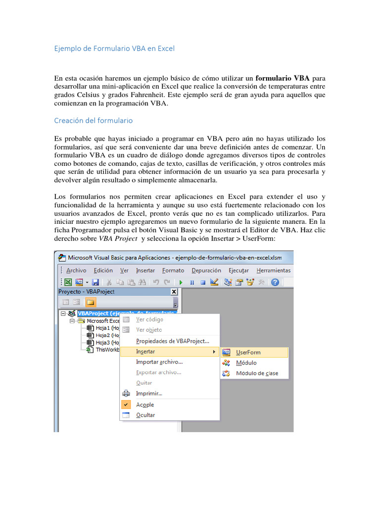 Ejemplo De Formulario Vba En Excel Descargar Gratis Pdf Microsoft Excel Ventana Informática 